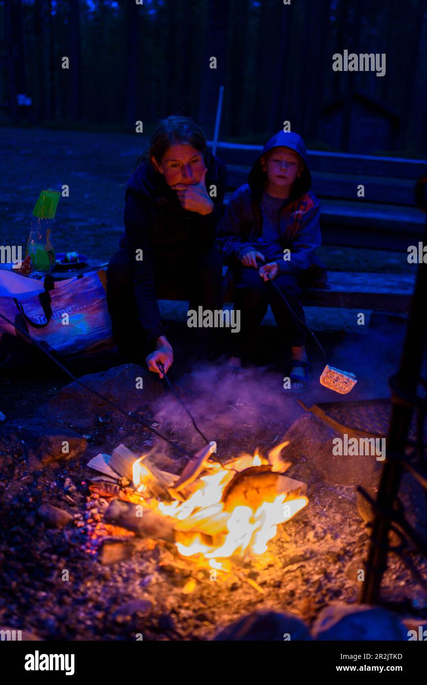 BBQ area in Patvinsuo National Park, Finland Stock Photo - Alamy