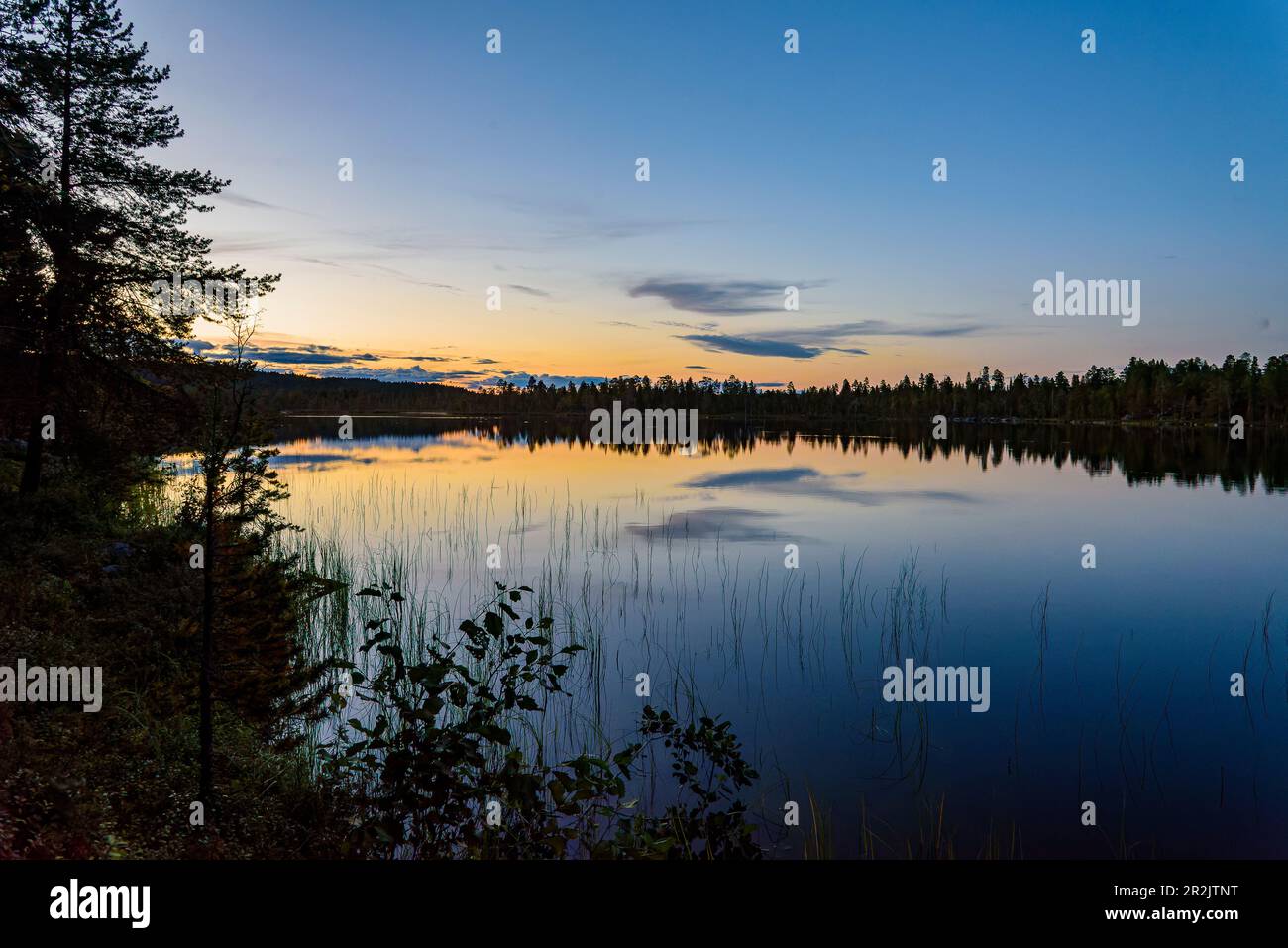 Lake in the evening light between Juva and Sulkava leads the well-known ...