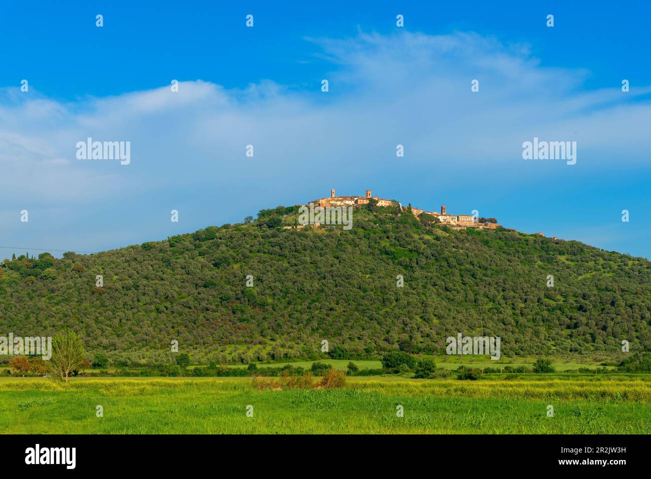 Montepescali, Maremma, Grosseto Province, Toscana, Italy Stock Photo ...