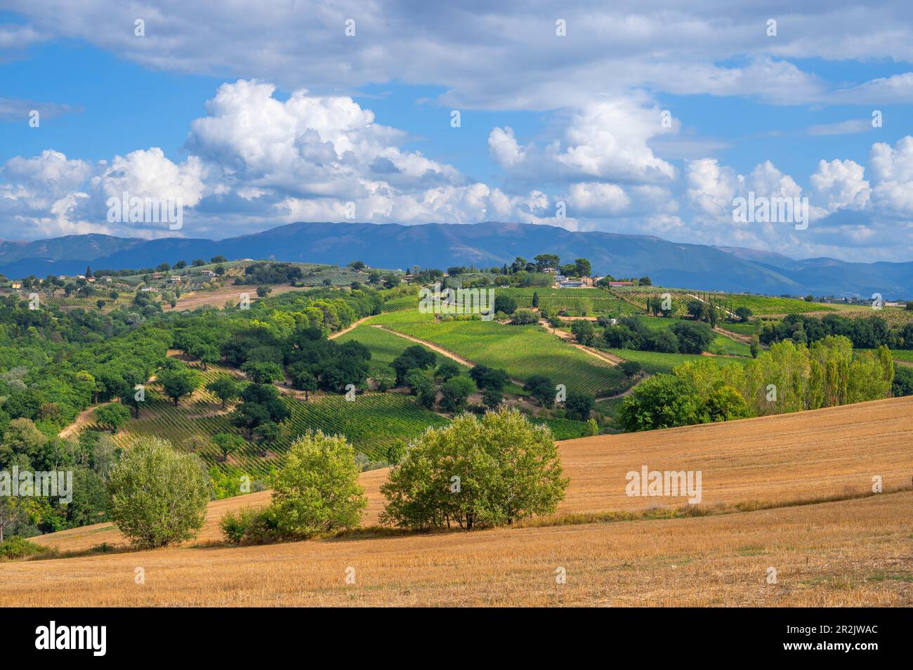Landscape at Gualdo Cattaneo, Perugia Province, Umbria, Italy Stock ...