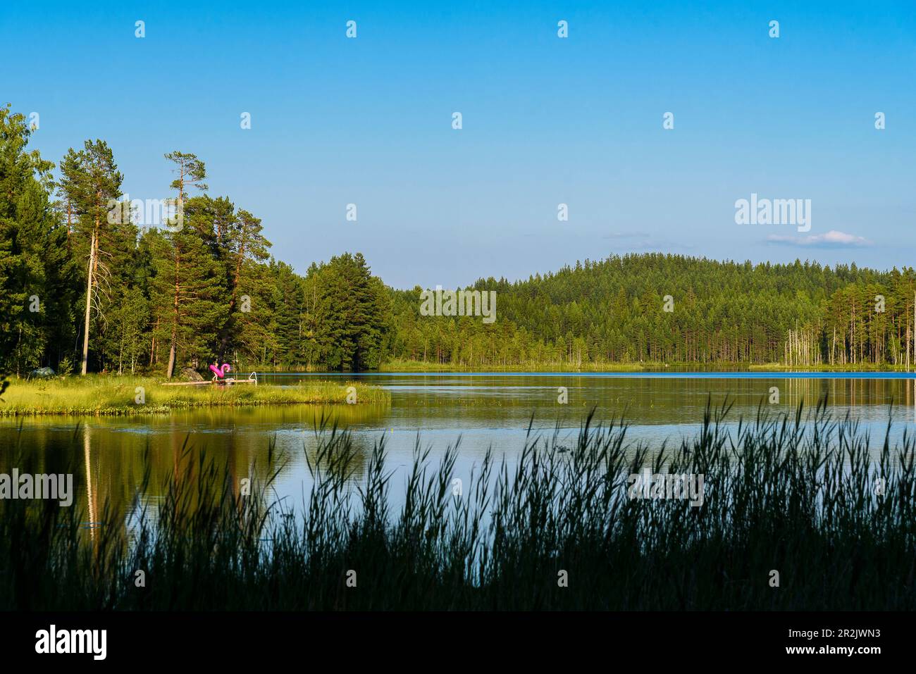 Rubber animal by the lake in Seitseminen National Park, Finland Stock ...