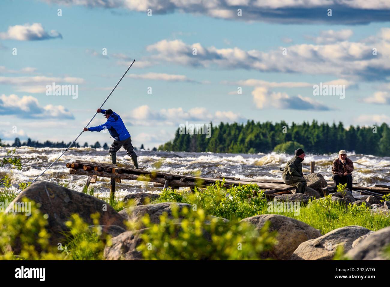 Traditional local fishing with long nets. Kukkolankoski rapids on the ...