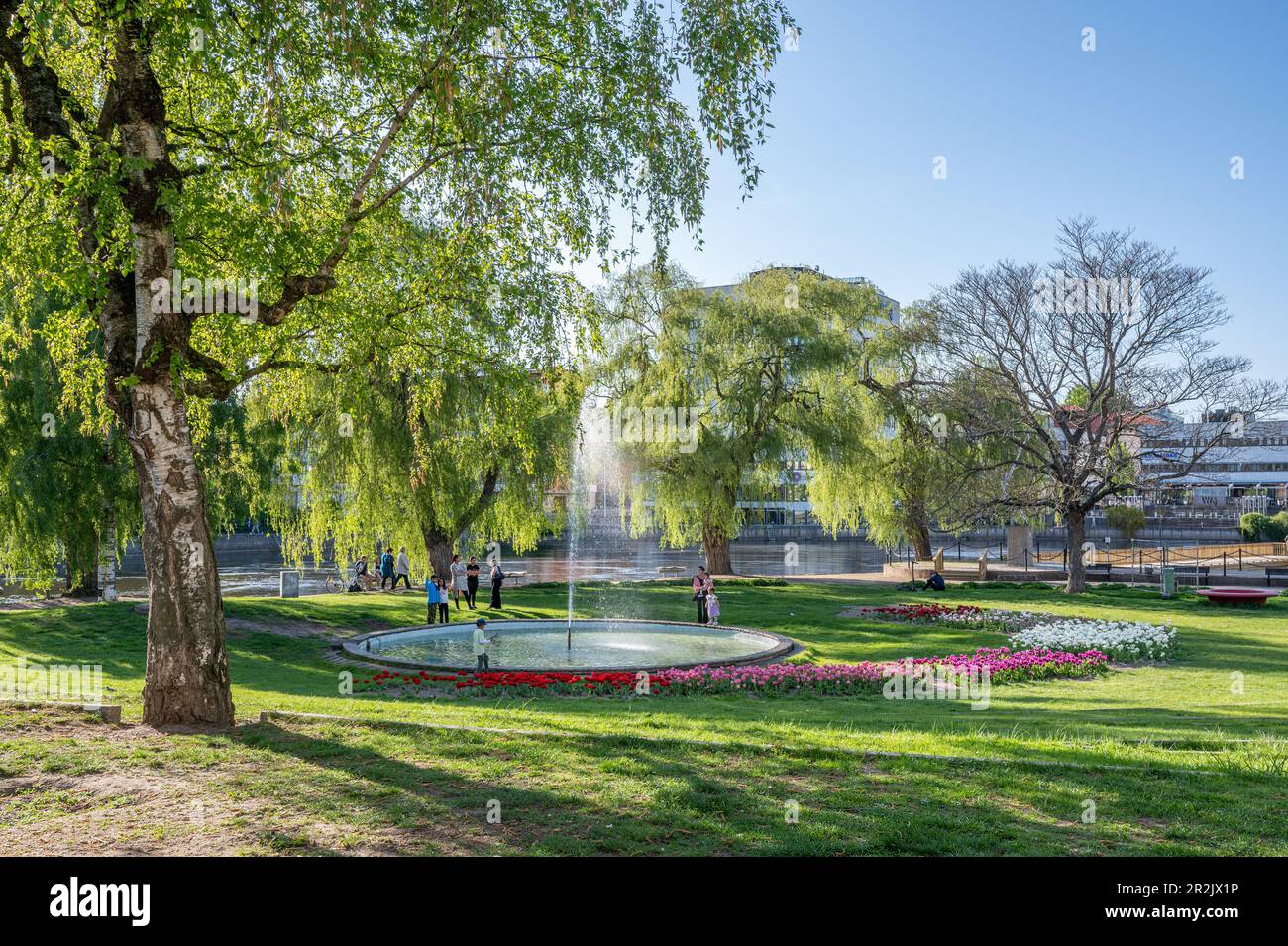Waterfront park Strömparken on a sunny spring evening May 2023 in ...