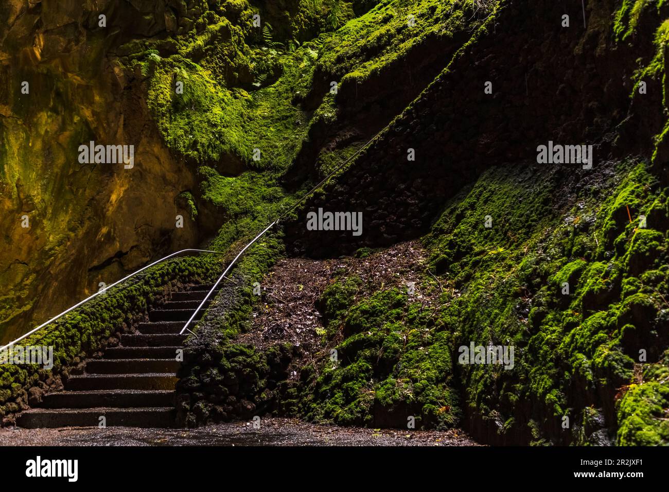 In the natural monument Algar do Carvão, stairs lead down into the dark ...