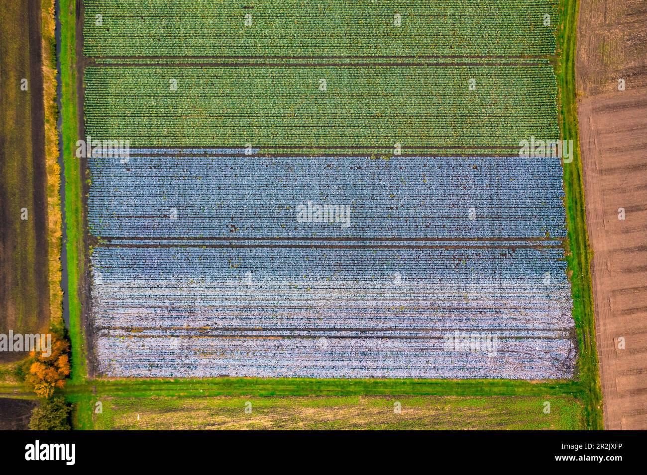 Symmetrical fields and fields with patterns in brown, green and blue ...
