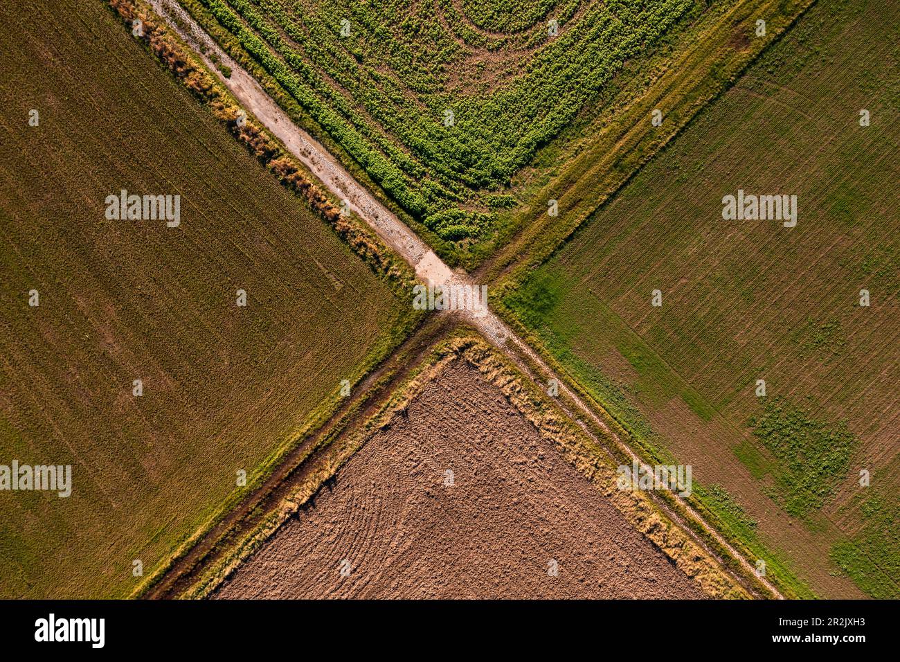 A paved path and a dirt road separate fields with an intersection ...
