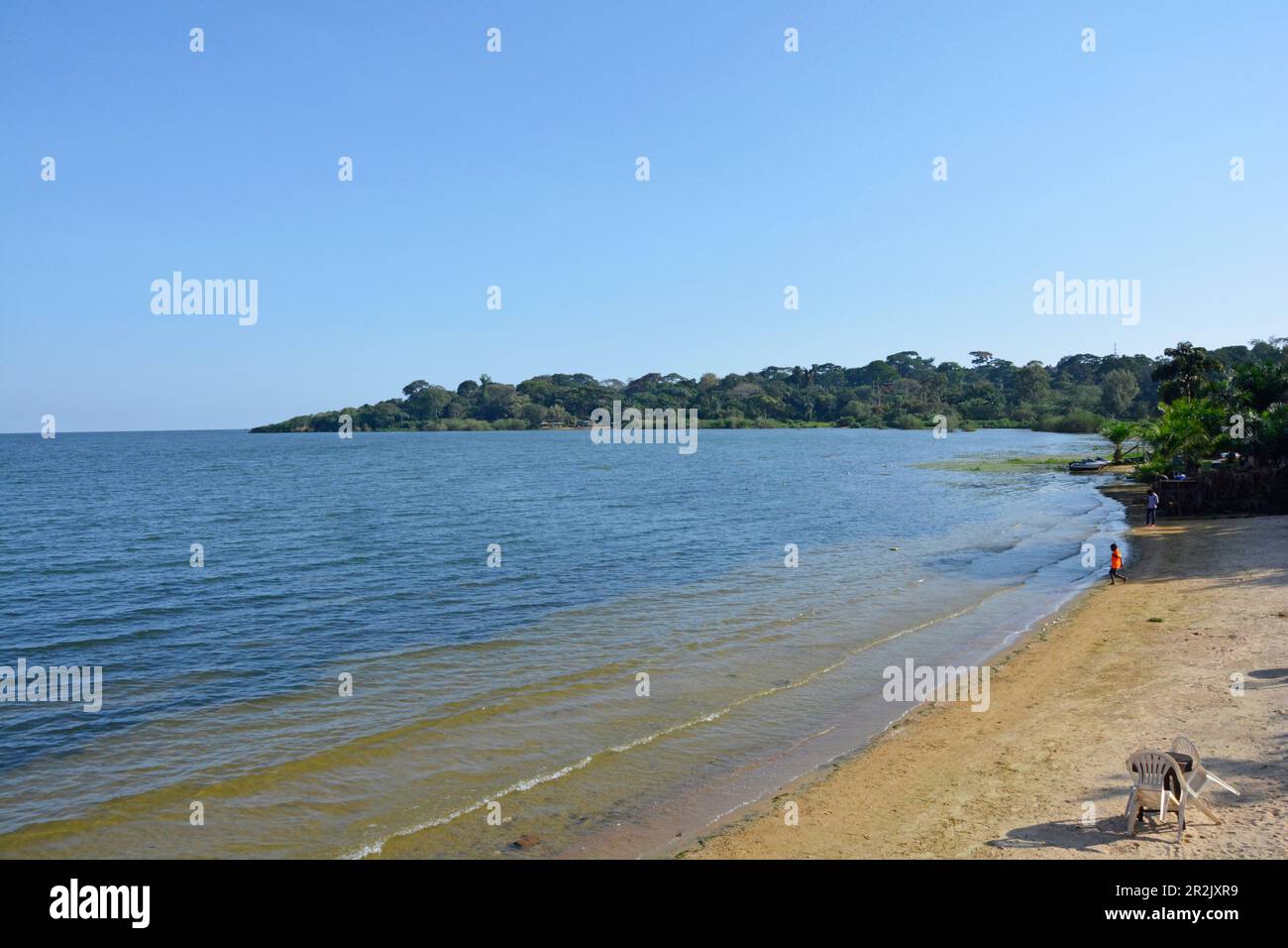 Uganda; Central Uganda; Entebbe; Bathing beach on Lake Victoria Stock ...