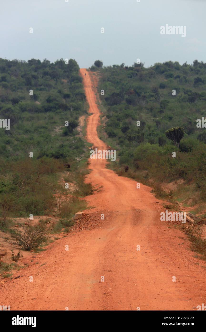 Uganda; Western Region; at Mbarara; near Lake Mburo National Park; dirt ...