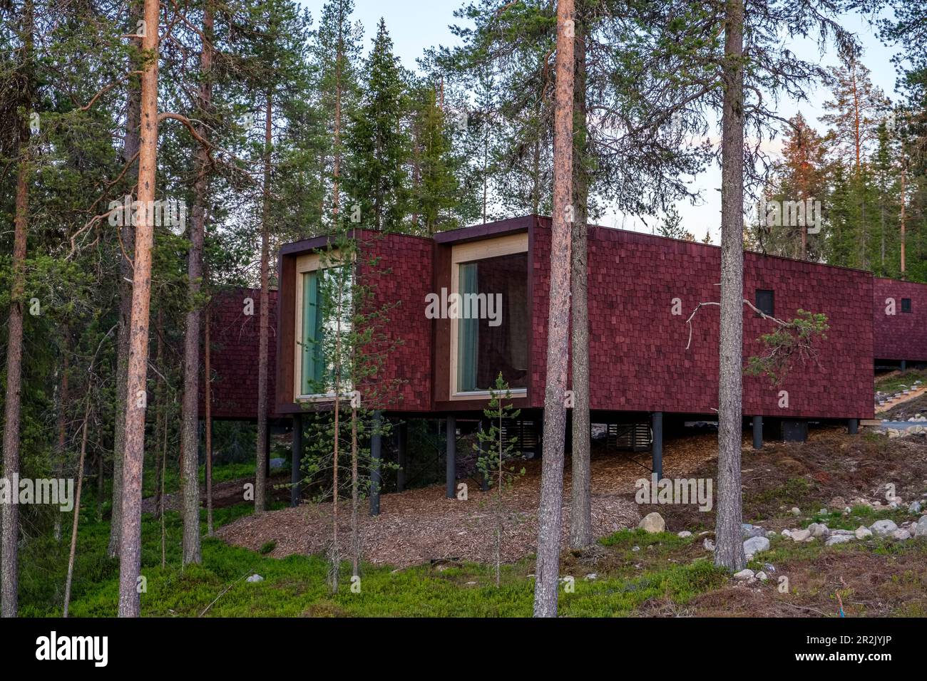 Wooden containers in the forest, Arctic Tree House Hotel, Rovaniemi ...