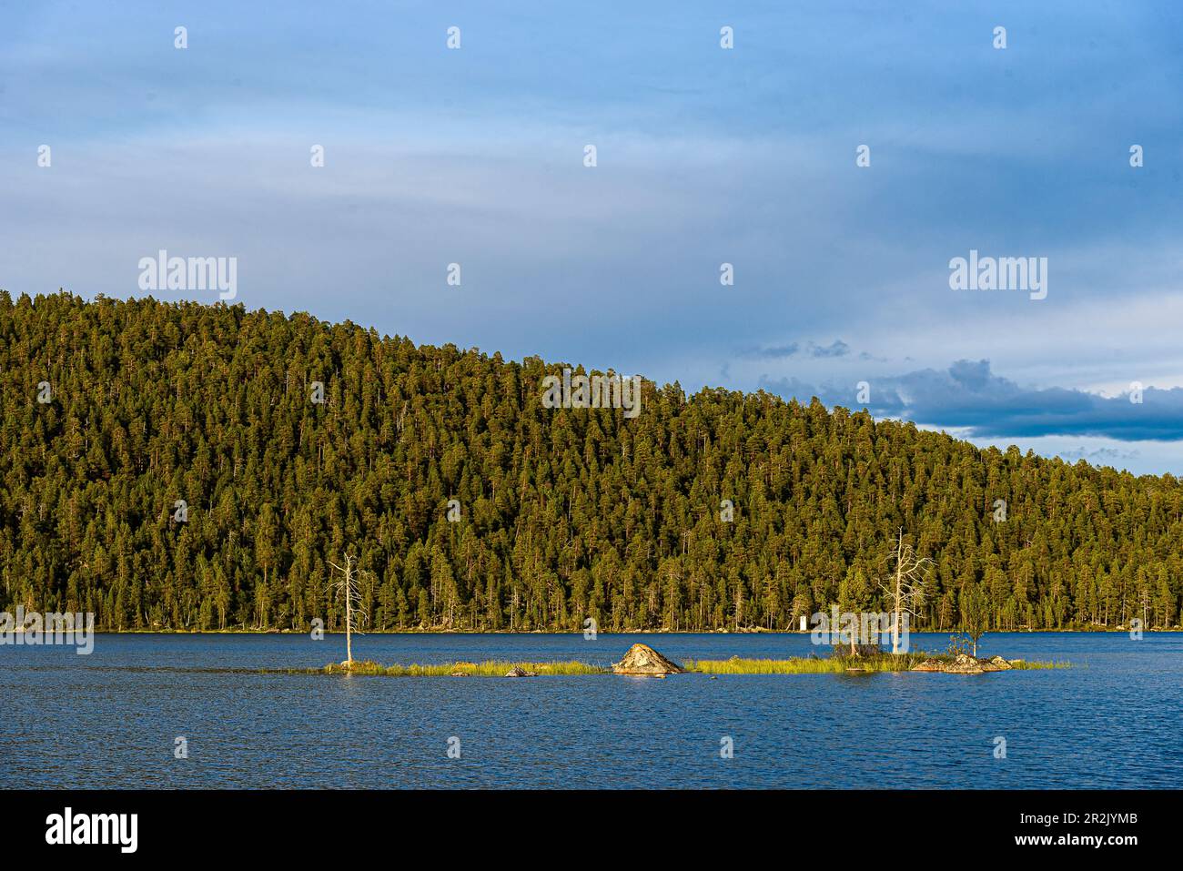 Mini island in Lake Inari, Finland Stock Photo - Alamy