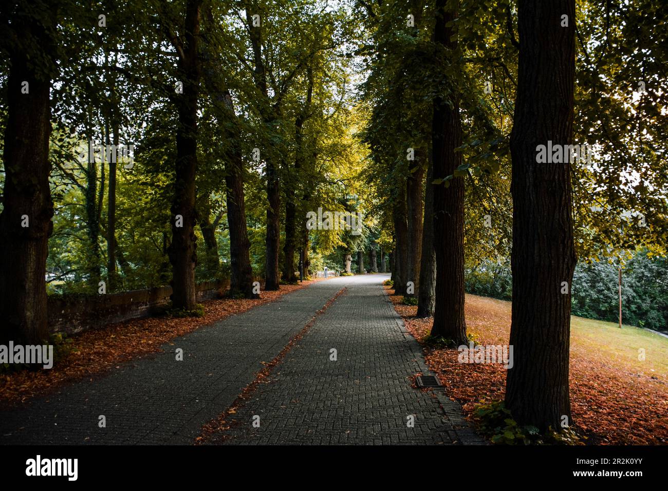 Bruges autumn scene hi-res stock photography and images - Alamy