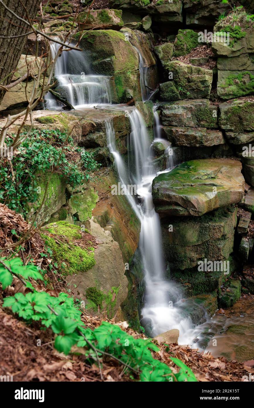 In the middle part of the Margarethen Gorge, Neckartal-Odenwald Nature ...