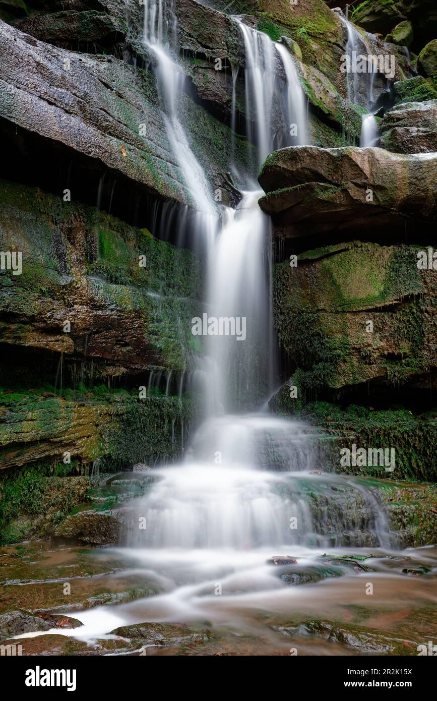 In the middle part of the Margarethen Gorge, Neckartal-Odenwald Nature ...