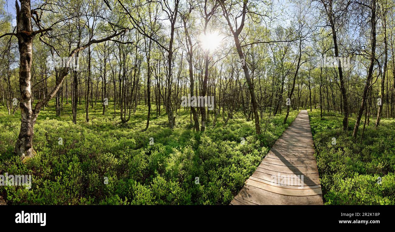 Edge areas hi-res stock photography and images - Alamy