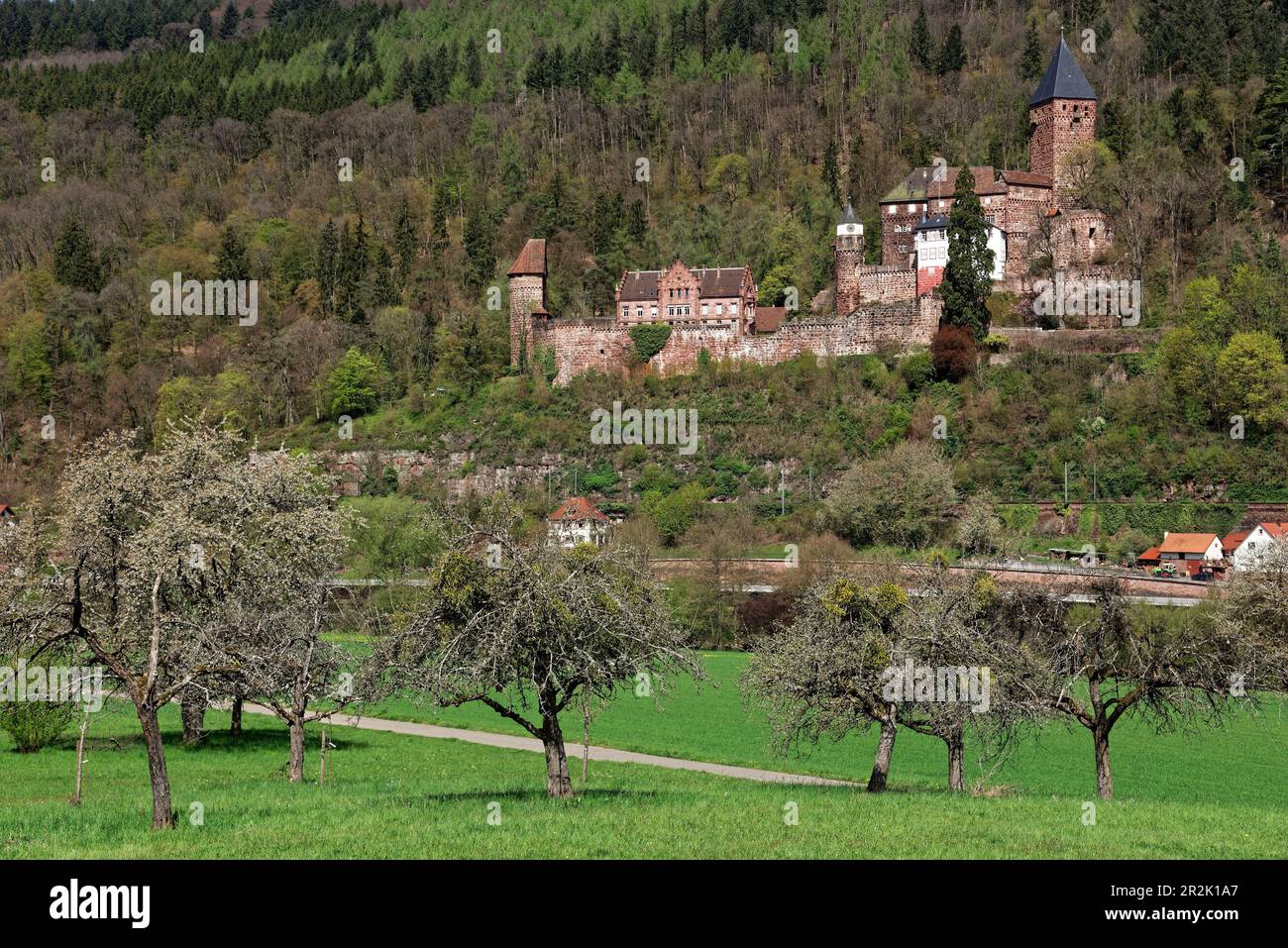The impressive Schloss-Zwingenberg Fortress above the River Neckar in ...