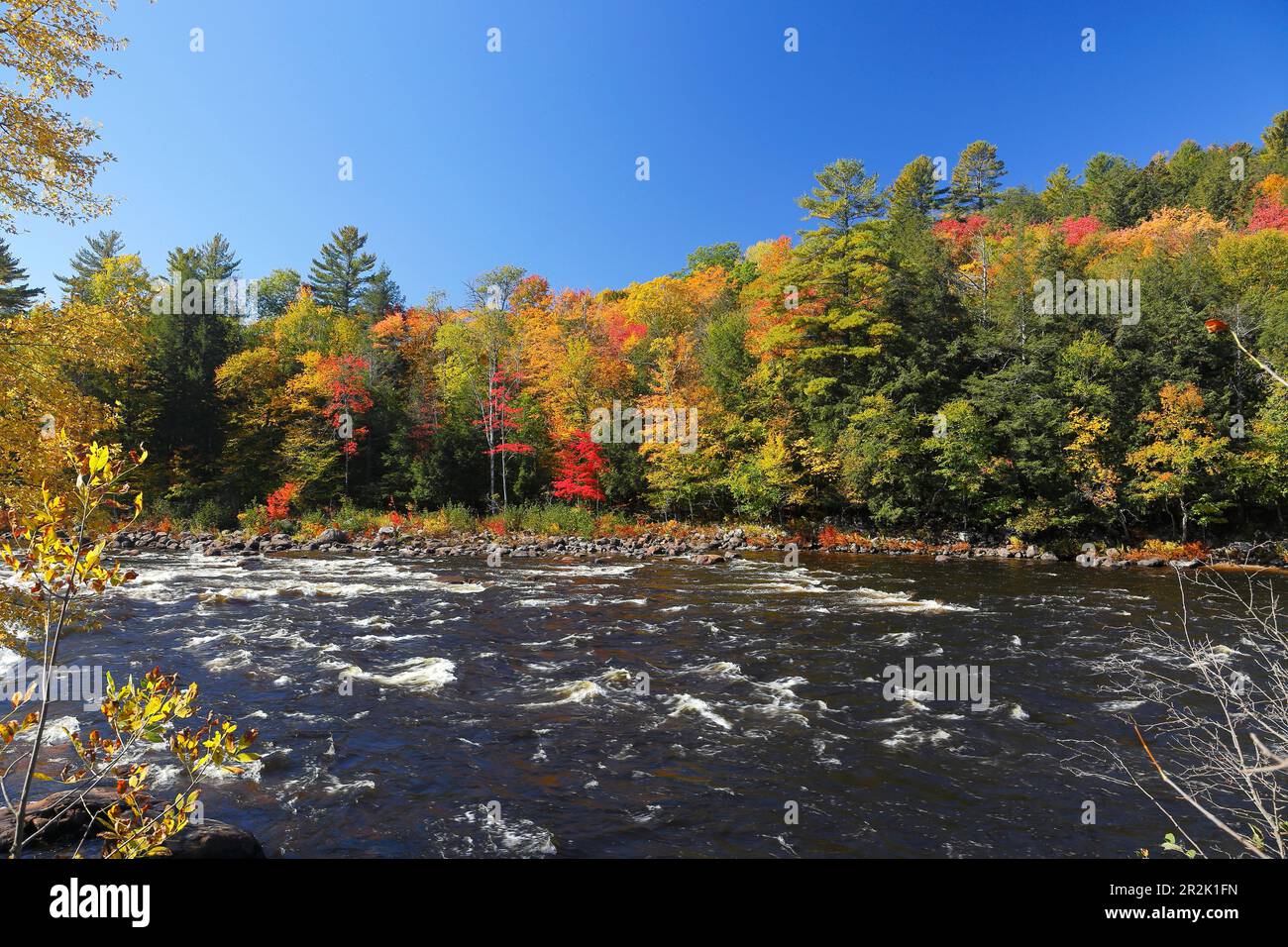 Landscape at the Red River, Quebec, Canada Stock Photo - Alamy
