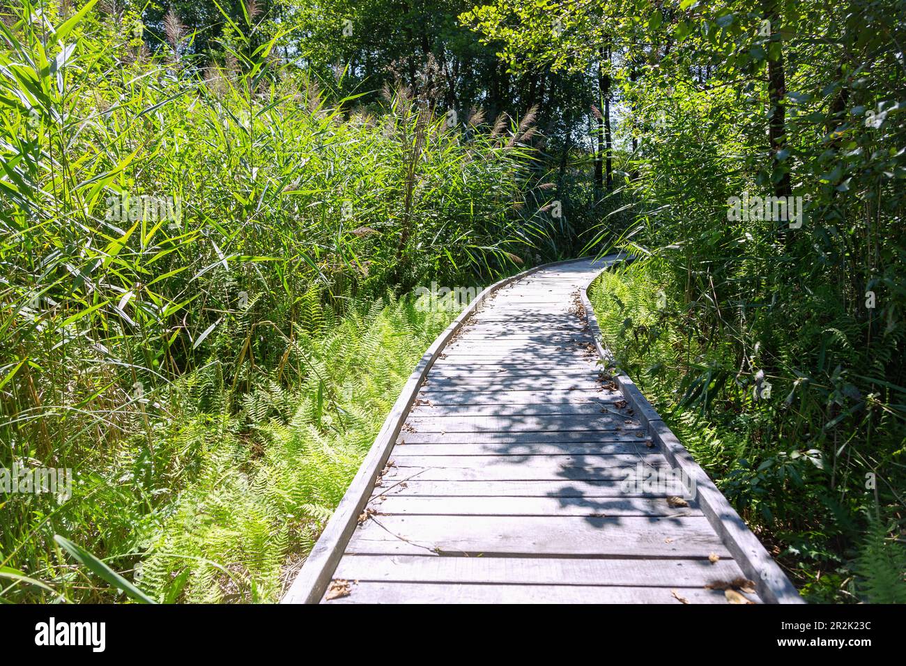 Lahinja Landscape Park near Veliki Nerajec, Nerajski Lugi, Boardwalk ...
