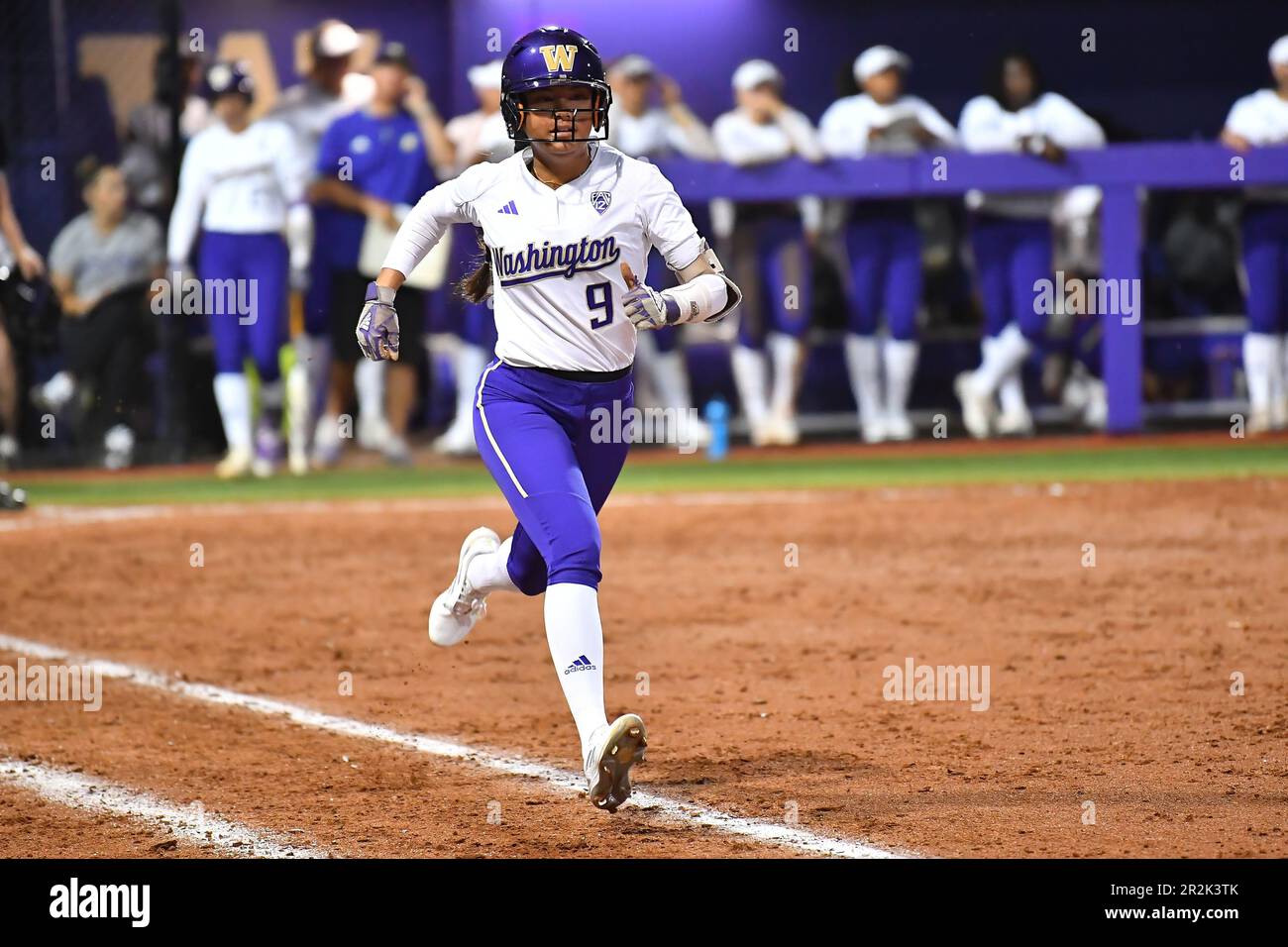 Madison huskey hi-res stock photography and images - Alamy