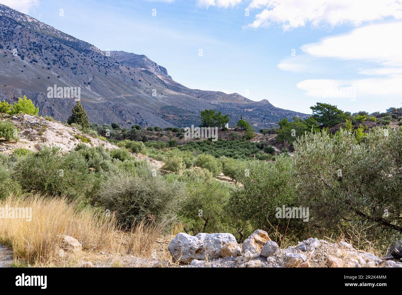 Nida plateau hi-res stock photography and images - Alamy