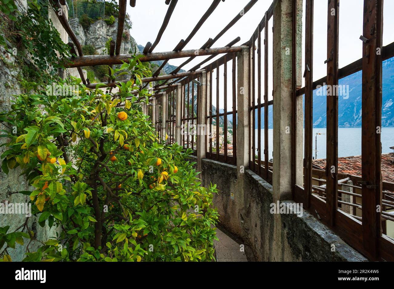 The famous lemon houses of Limone sul Garda that produce excellent ...