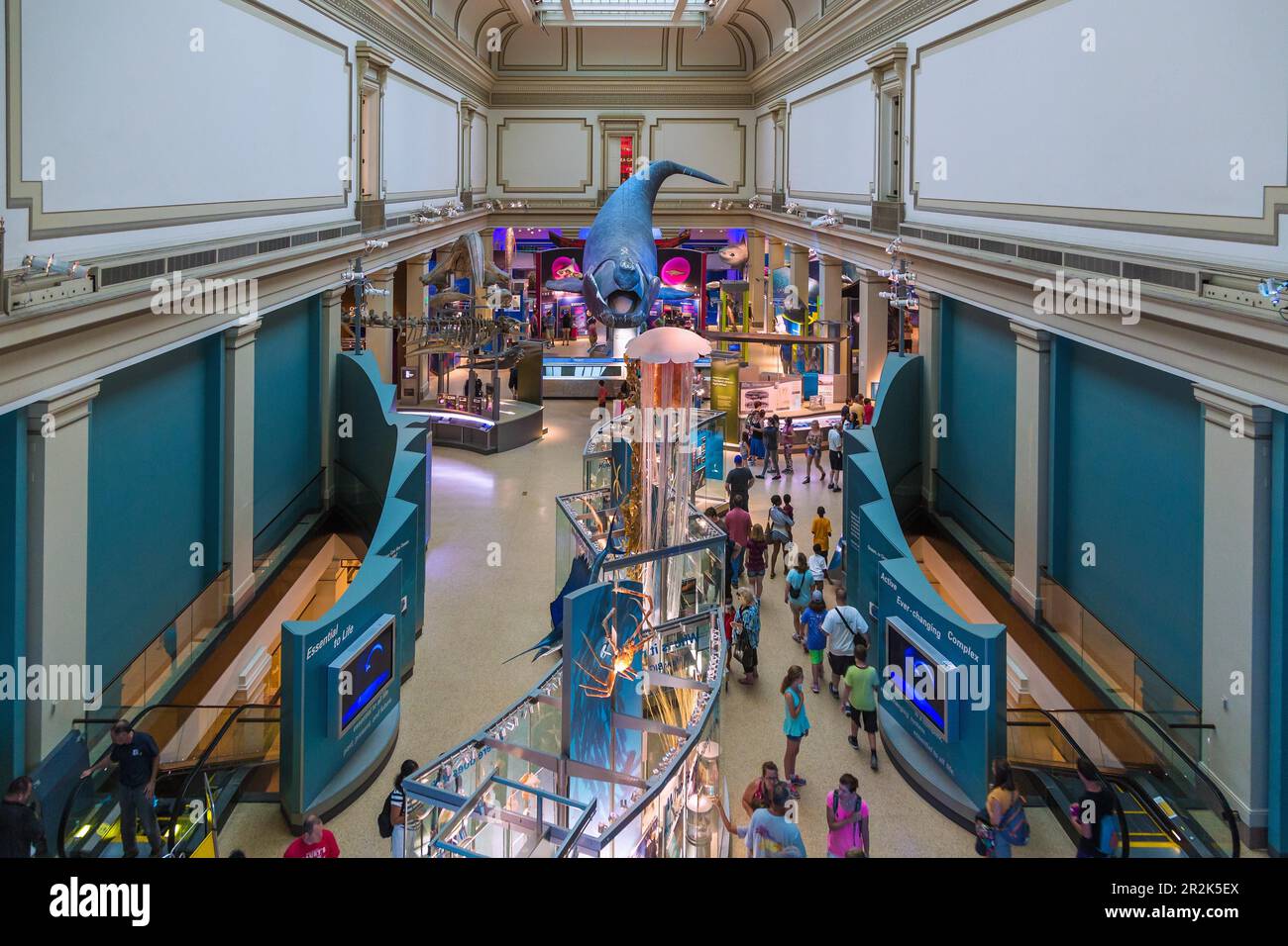 Ocean hall natural history museum hi-res stock photography and images ...