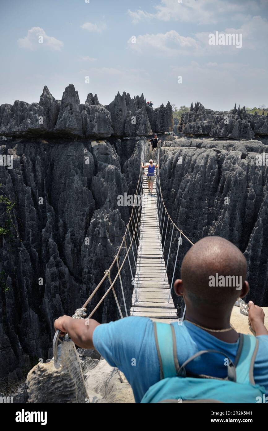 Guide watches as woman crosses rope bridge, karst landscape in Tsingy ...