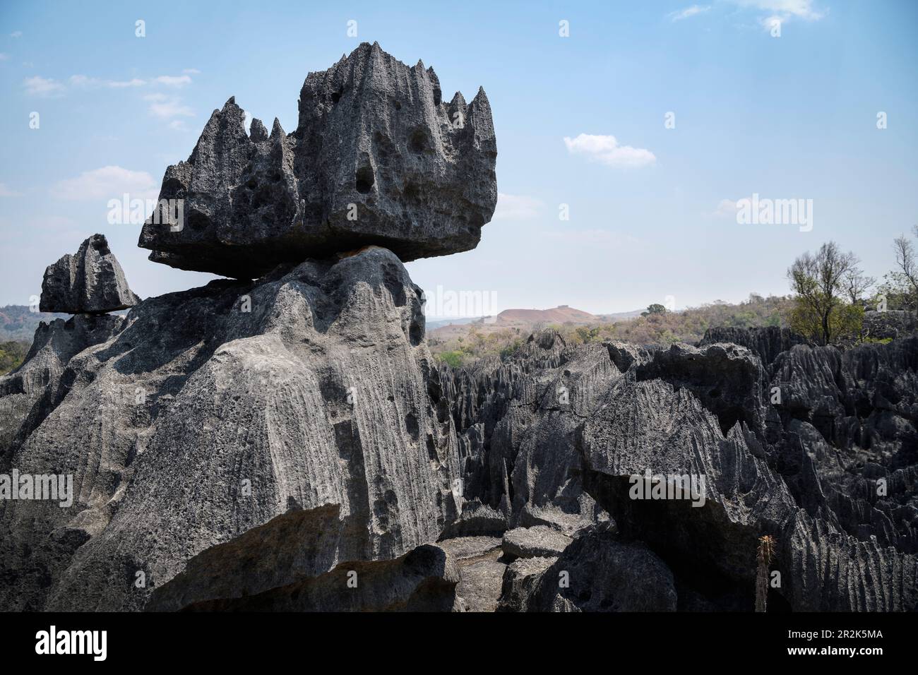 Karst landscape in Tsingy de Bemaraha National Park, Madagascar ...