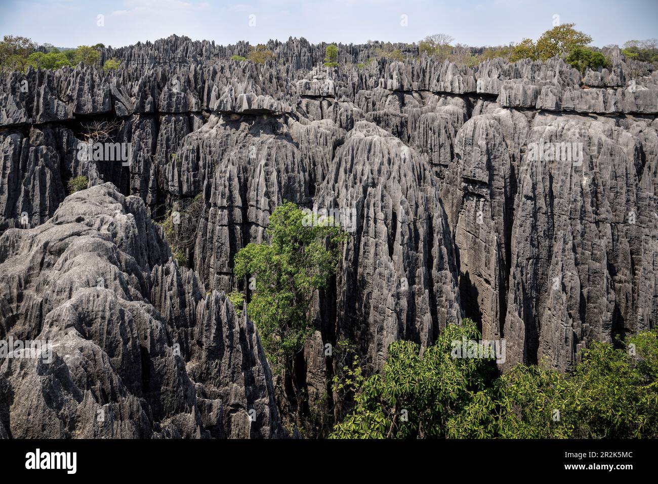 Karst landscape in Tsingy de Bemaraha National Park, Madagascar ...