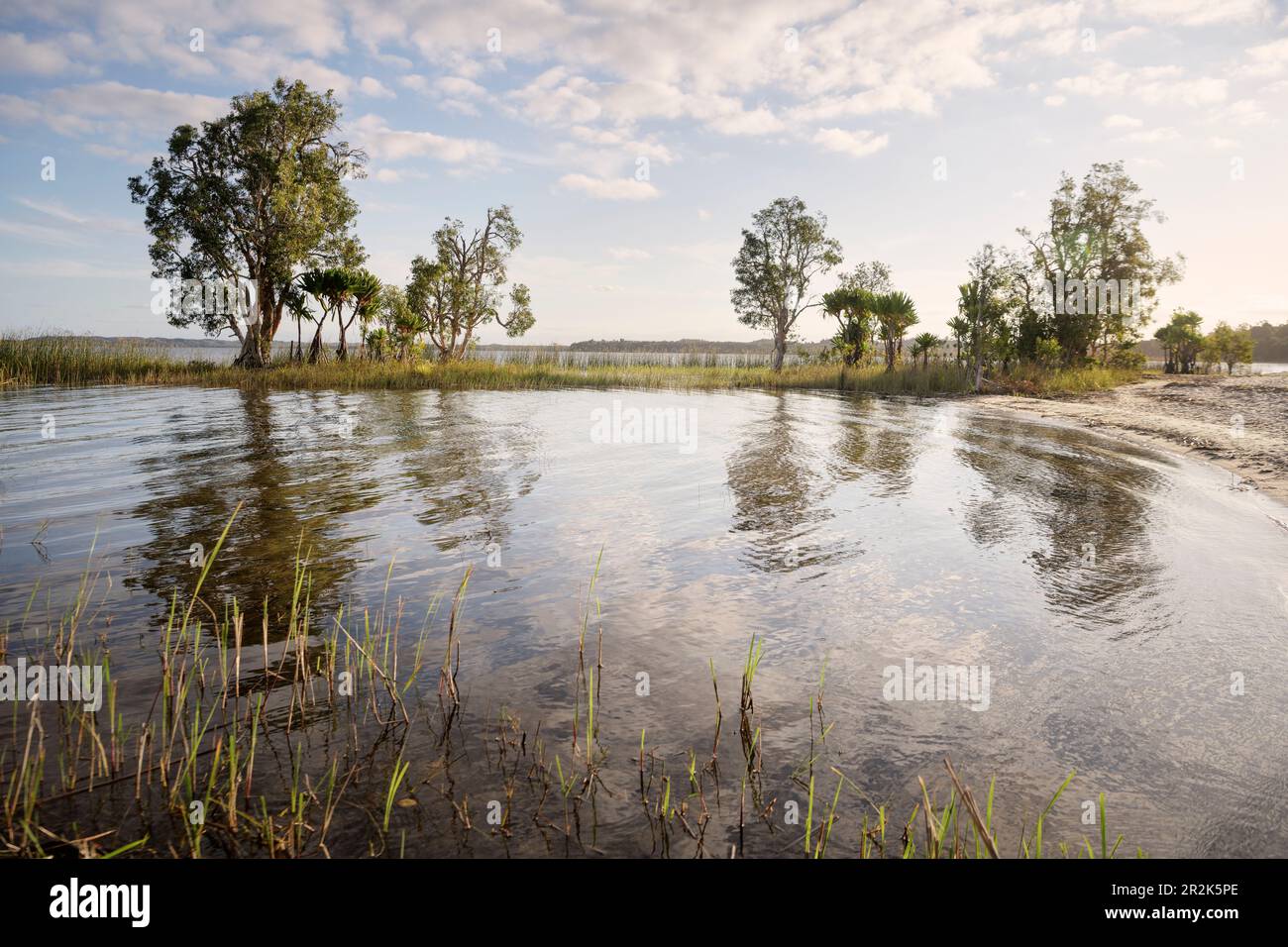 Lake Farihy Ampitabe, Canal des Pangalanes, Madagascar, Africa Stock ...