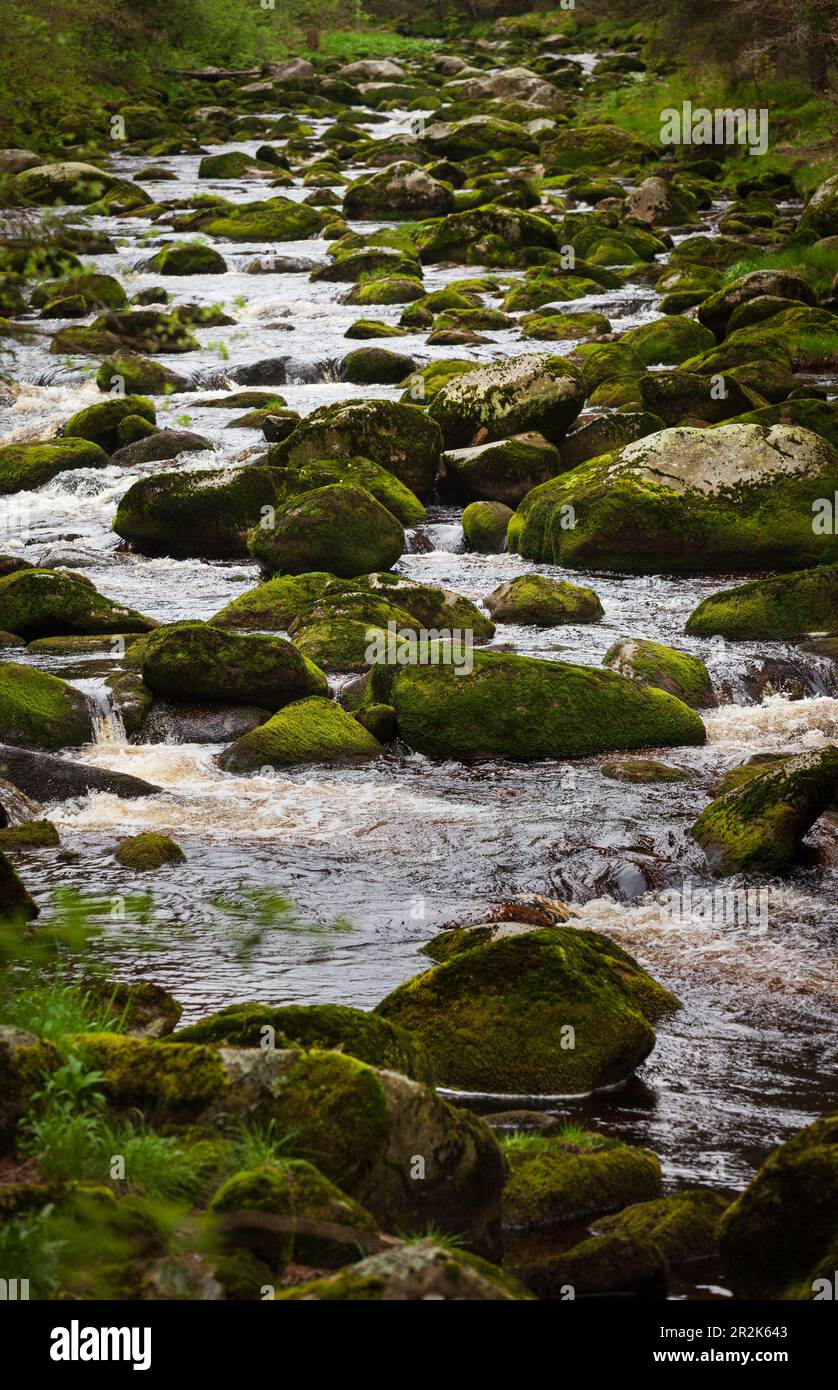 The round rocks are covered with moss. The water circulates between ...