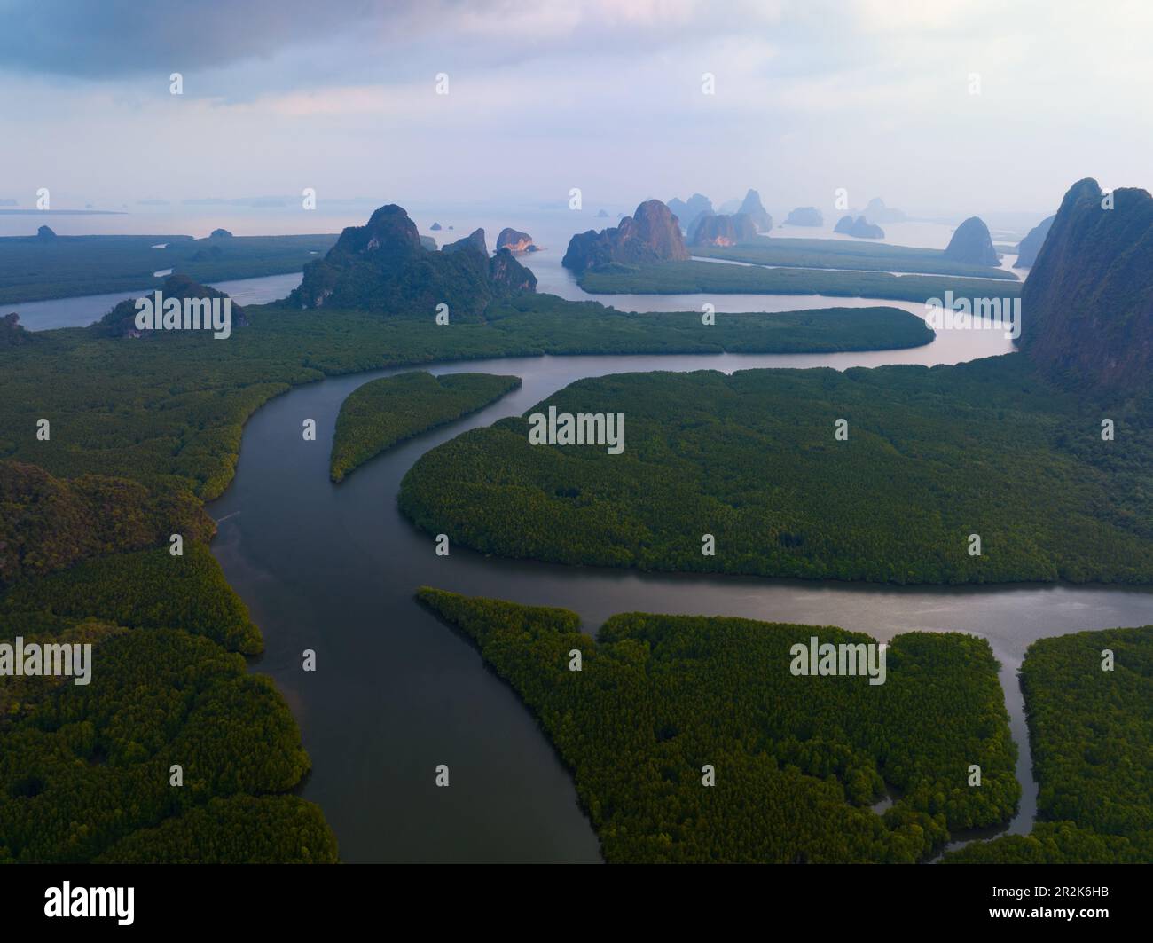 Aerial view Drone shot of Mangrove forest landscape view located in ...