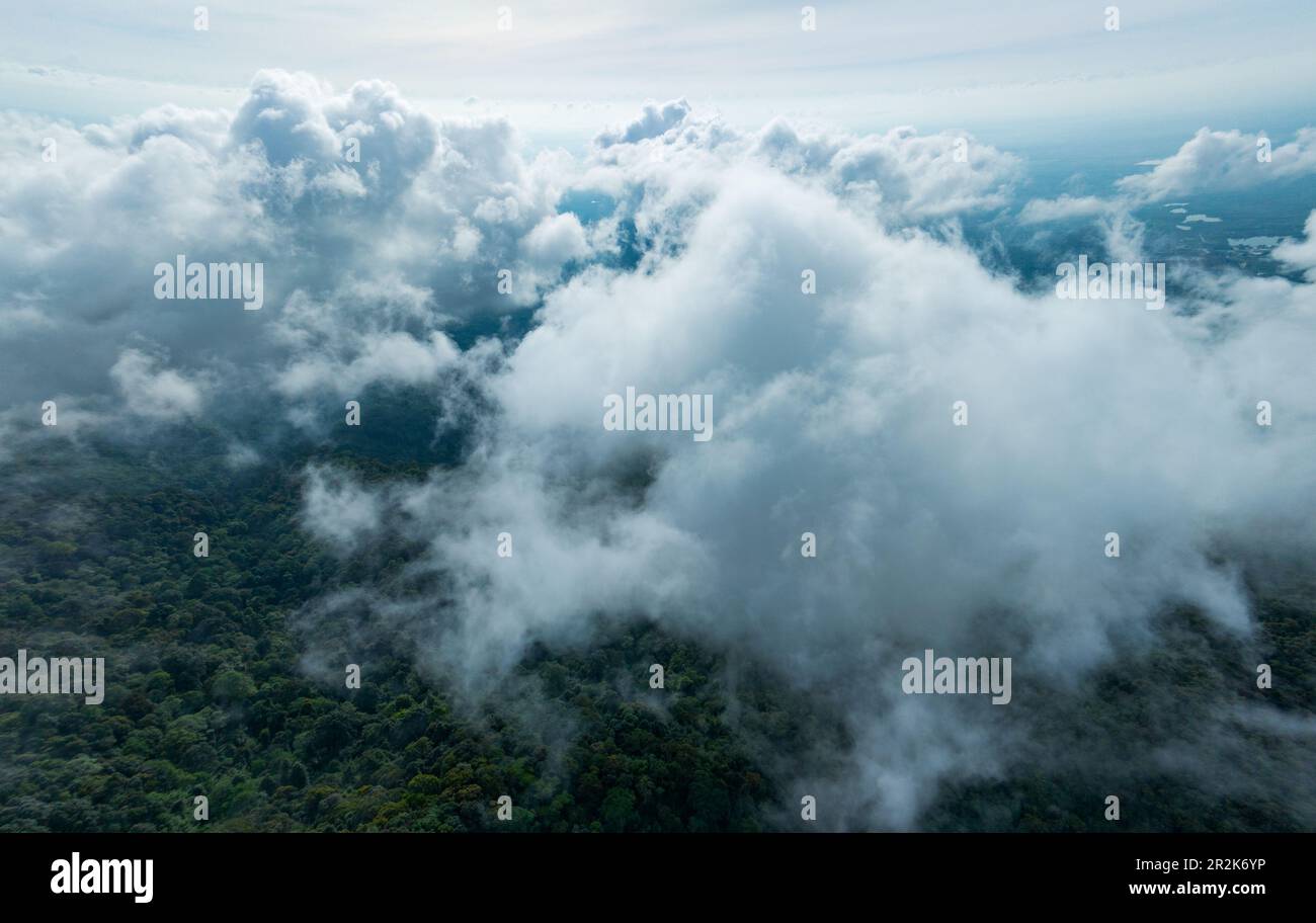 Aerial view Panorama of flowing fog waves on mountain tropical ...