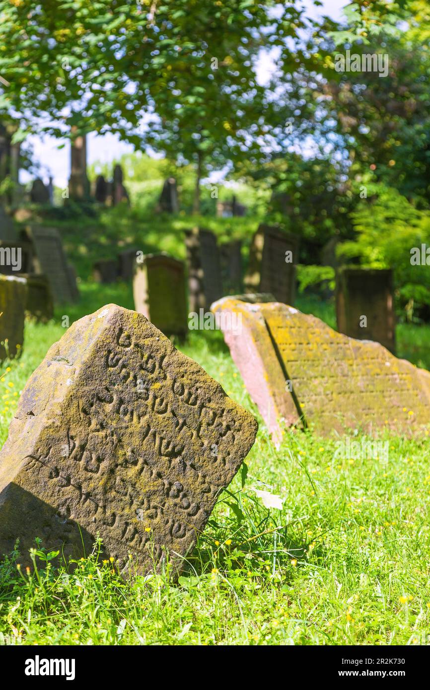 Worms, Holy Sand Jewish Cemetery, tombstones from the 11th to 13th centuries Stock Photo - Alamy