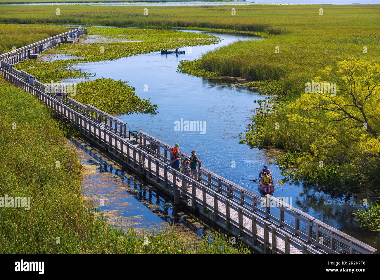 Point Pelee National Park, Marsh Board Walk, canoeists Stock Photo - Alamy