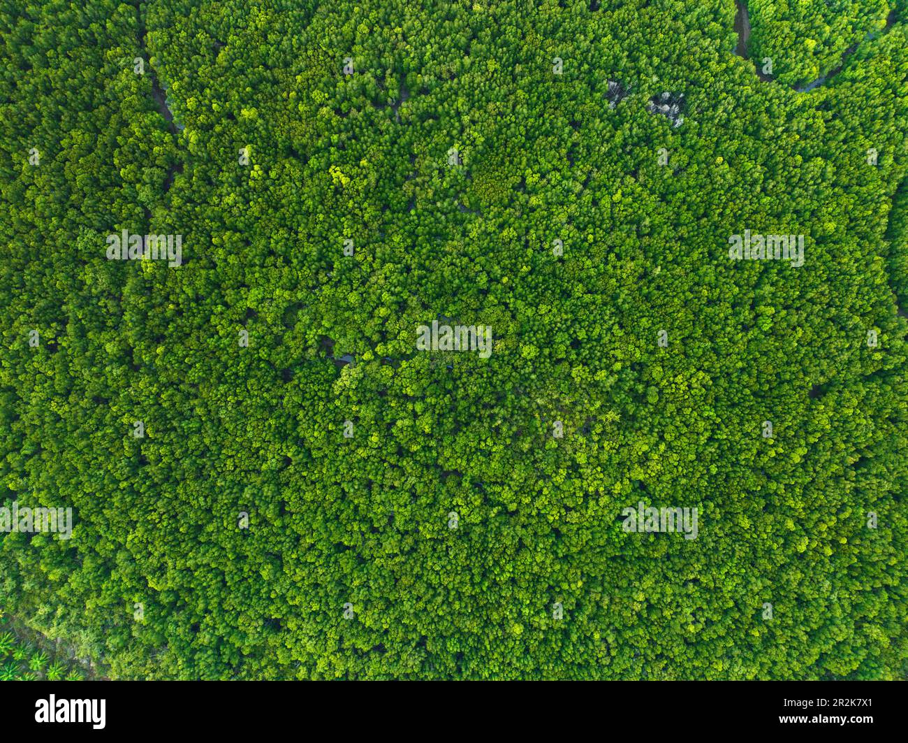 Stunning drone shot sunset island hi-res stock photography and images ...