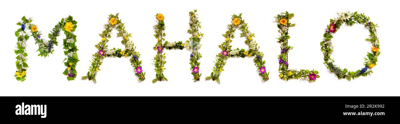 Colorful Flowers Building Word Mahalo, Isolated Background Stock Photo ...