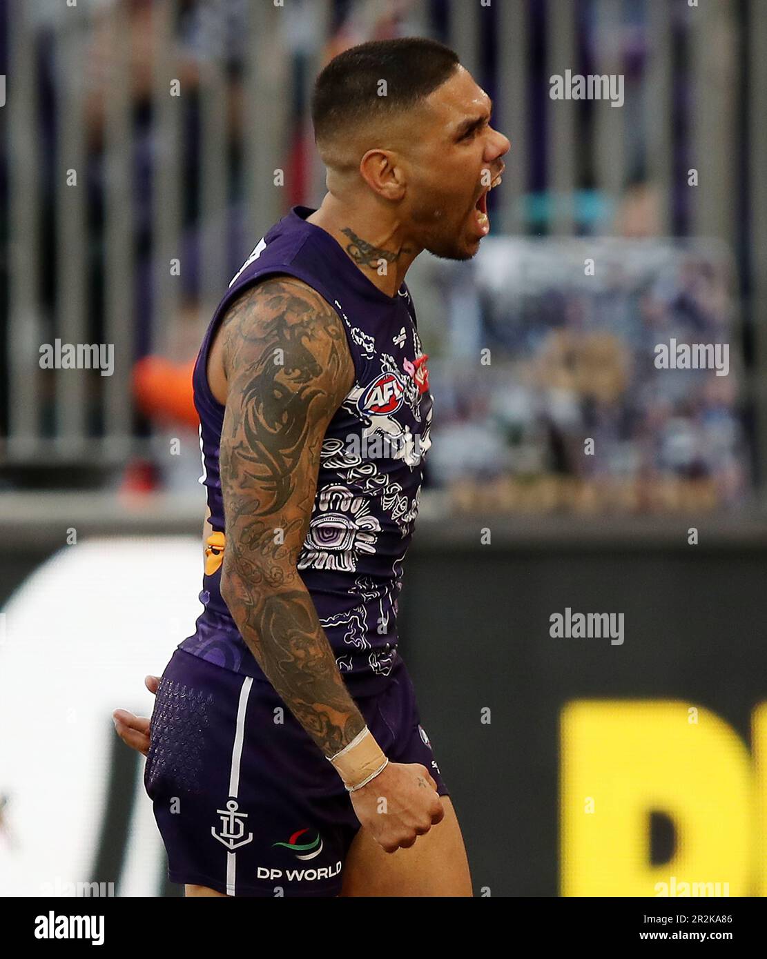 Michael Walters Of The Dockers Celebrates Kicking A Goal During The Afl Round 10 Match Between