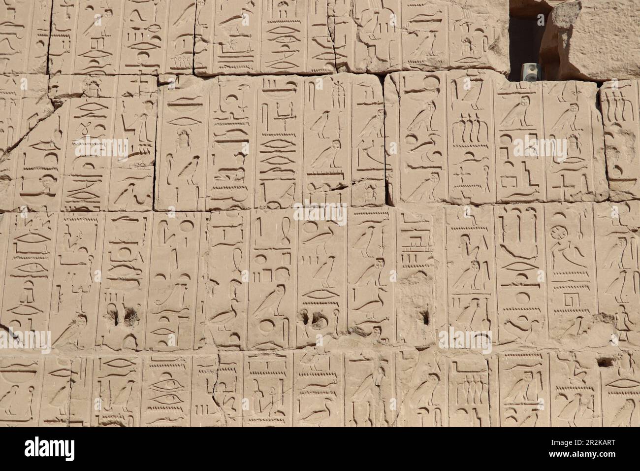 Egyptian Wall Symbols