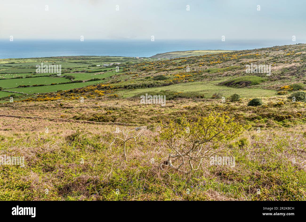 Coastal landscape at St.Ives, Cornwall, England, UK Stock Photo - Alamy