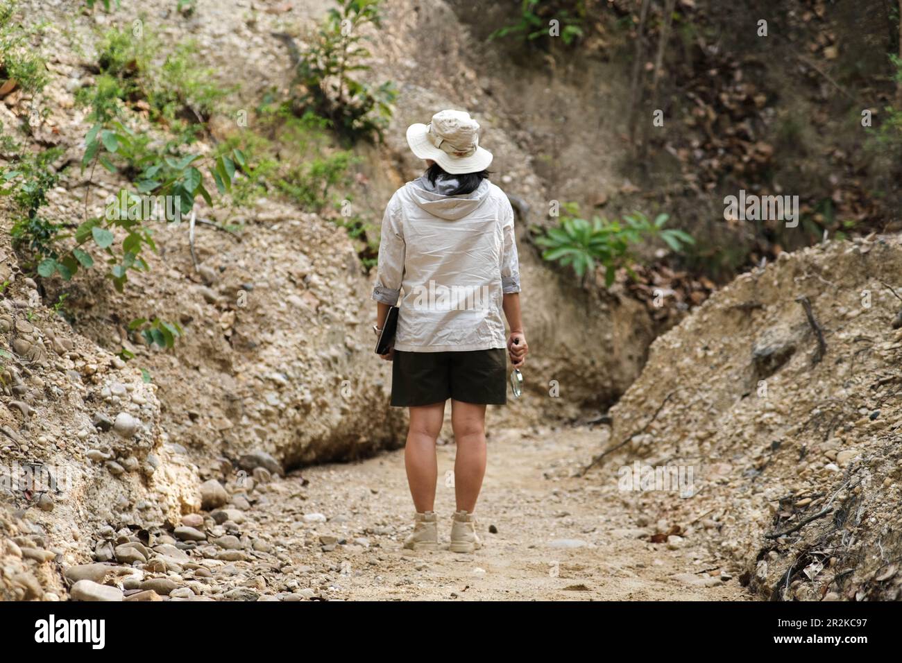 Female geologist holding magnifying glass and laptop working examining ...