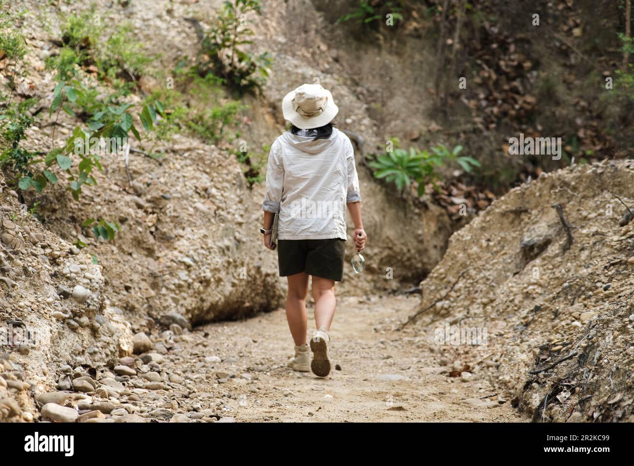 Female geologist holding magnifying glass and laptop working examining ...
