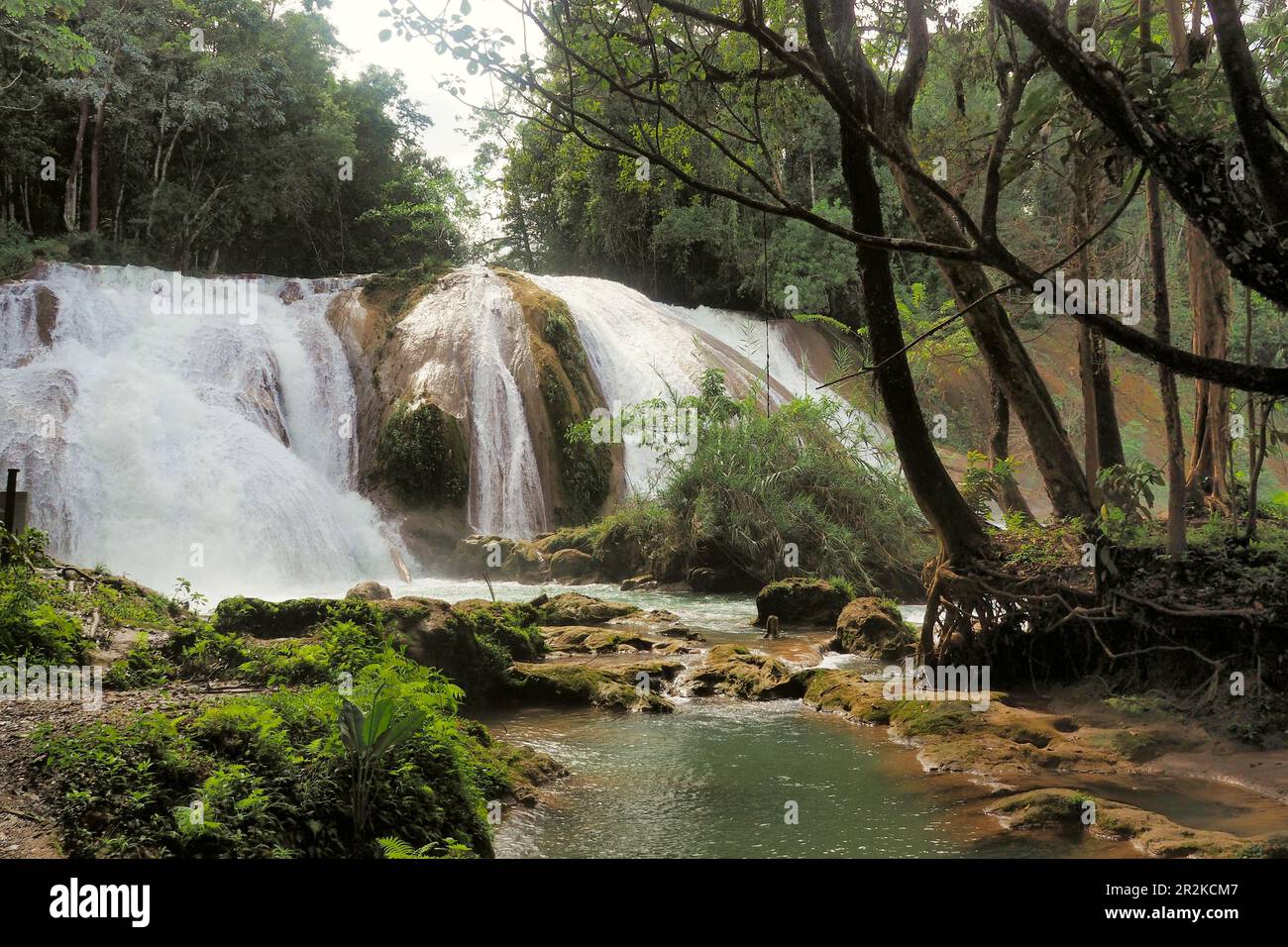 Agua Azul Cascades near Palenque, Chiapas, Mexico Stock Photo - Alamy