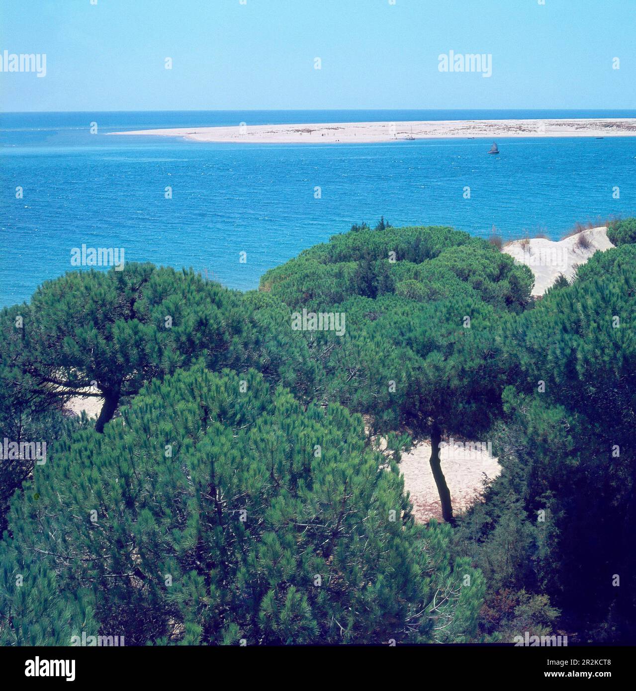PLAYA - FOTO AÑOS 60. Location: EXTERIOR. ROMPIDO EL. Huelva. SPAIN ...