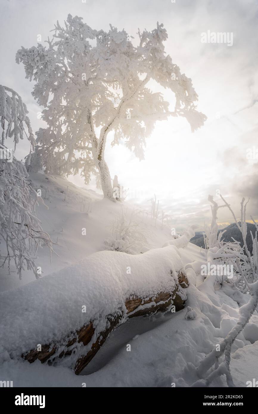 Hohen stein hi-res stock photography and images - Alamy