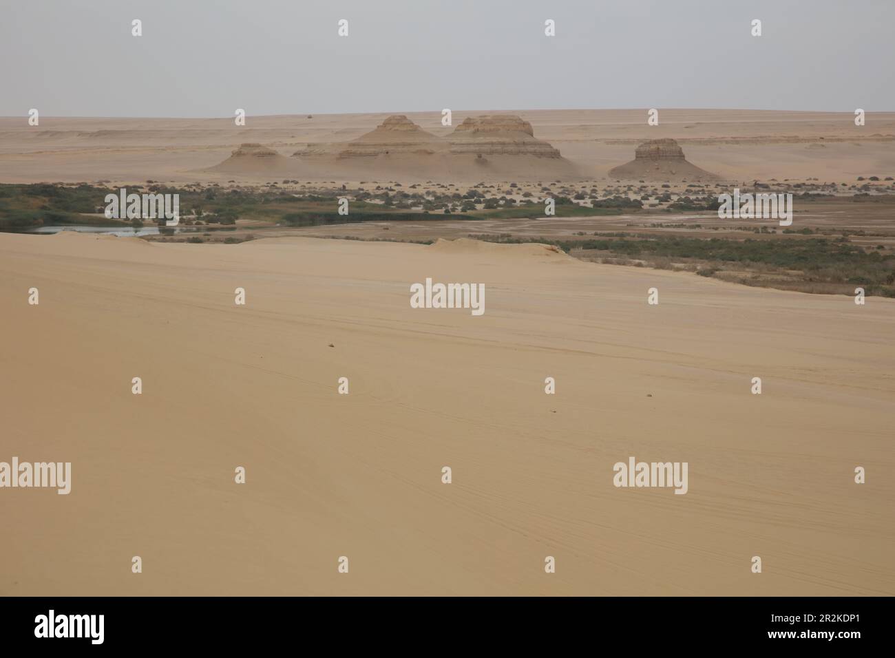 El rayan valley hi-res stock photography and images - Alamy