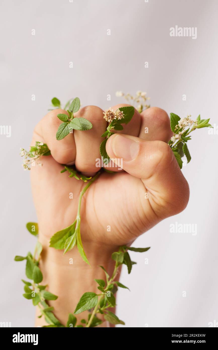Woman hand, green growth and fist for eco warrior, fight and revolution ...