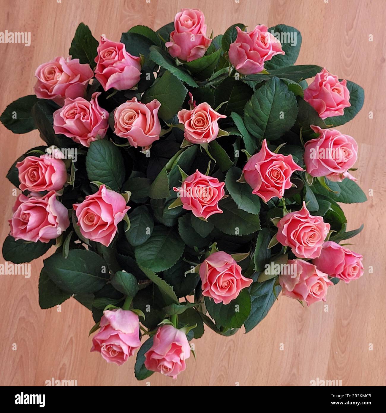 close photographed beautiful big bouquet of pink roses. The photo was ...