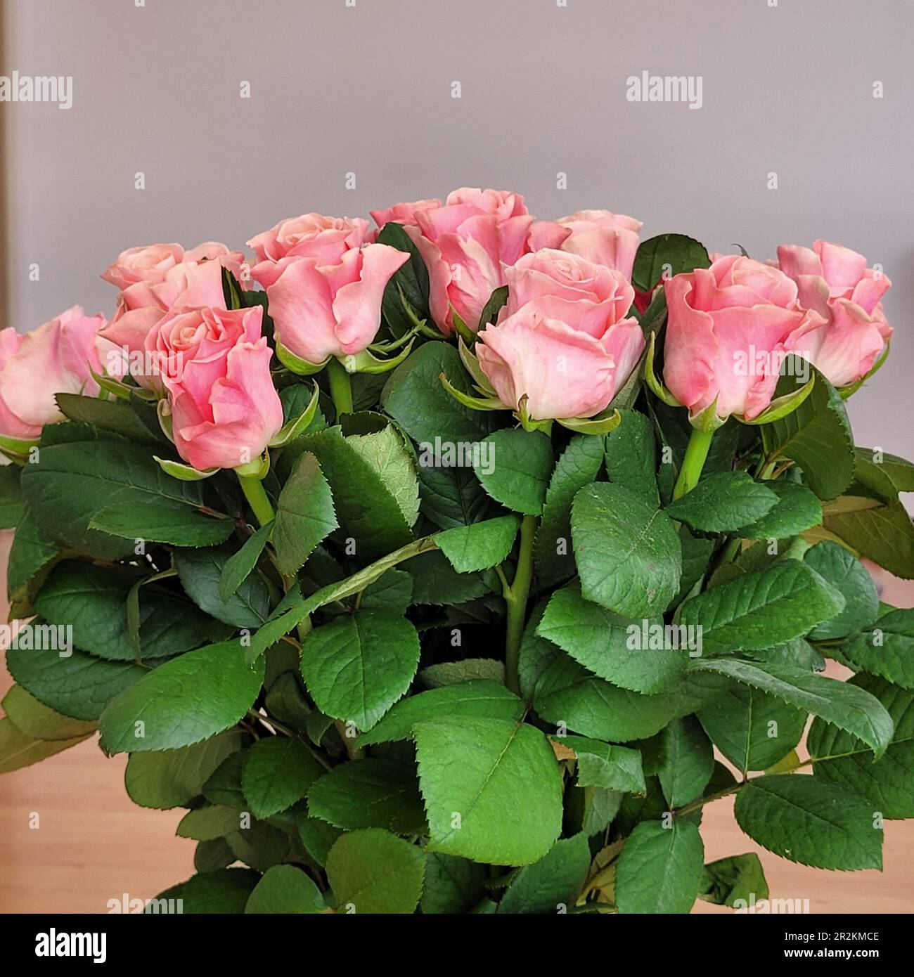 a beautiful large bouquet of pink roses against a gray wall. Photo ...