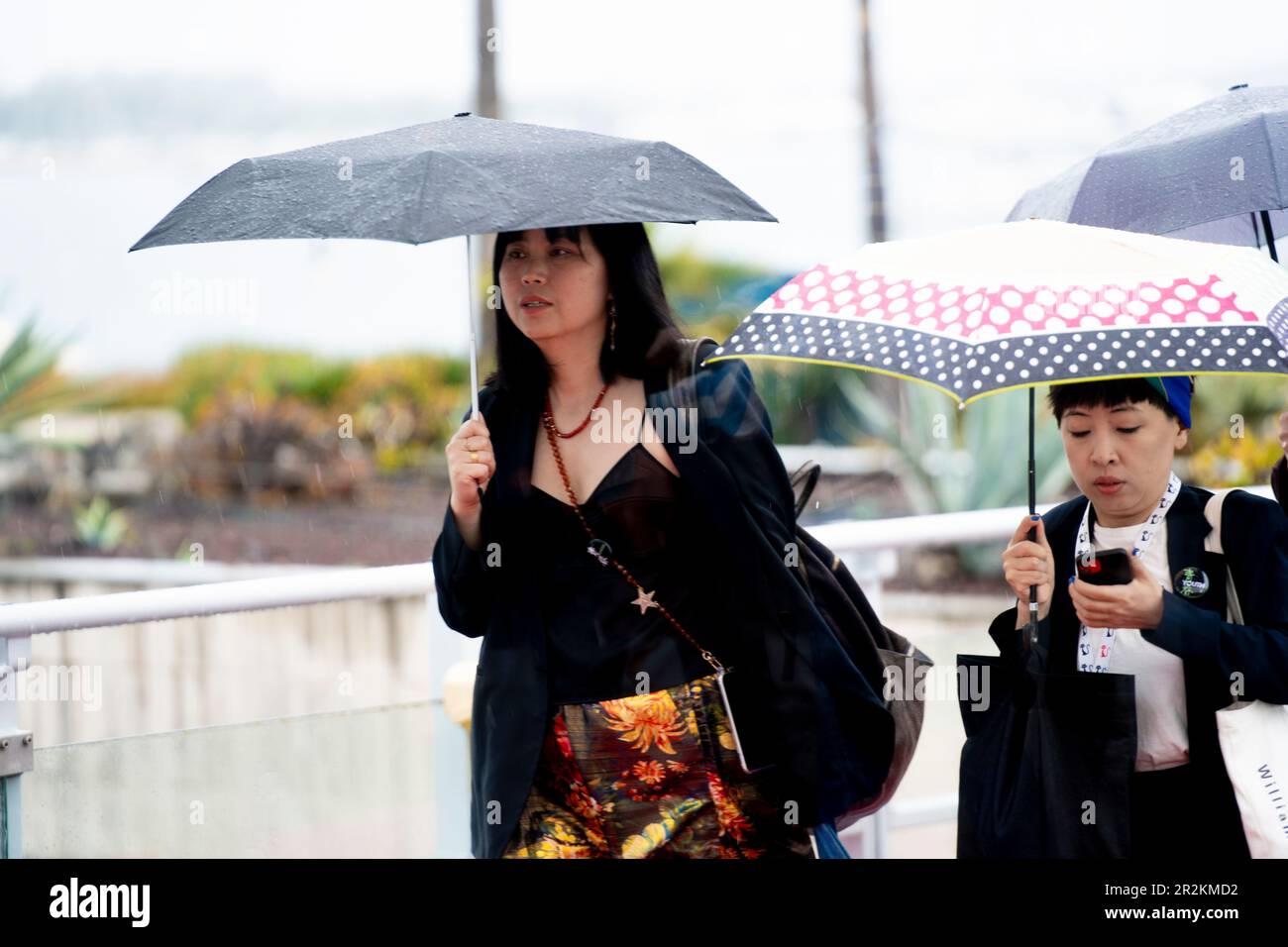 Cannes, France, 19th May 2023, the cast of Youth (Spring) attend the ...
