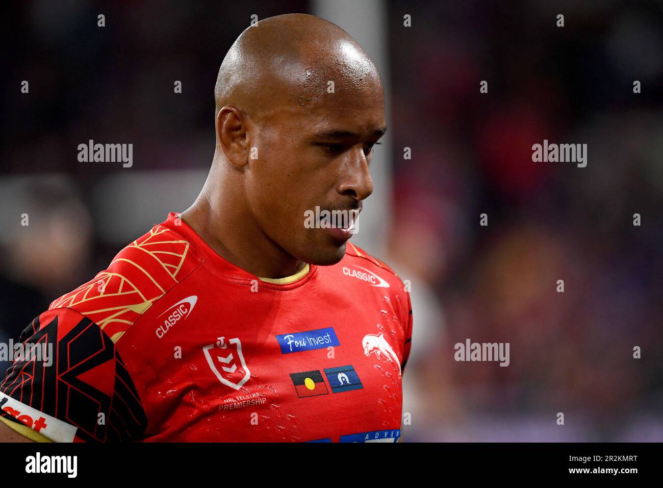 Felise Kaufusi of the Dolphins looks on at half time during the NRL ...